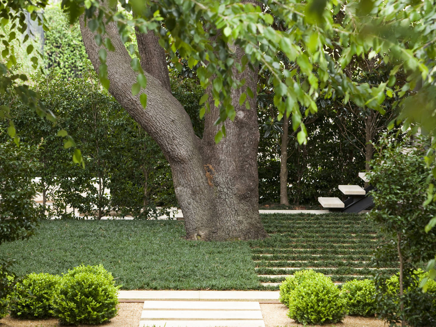 Our Gardens - Peter Fudge Gardens