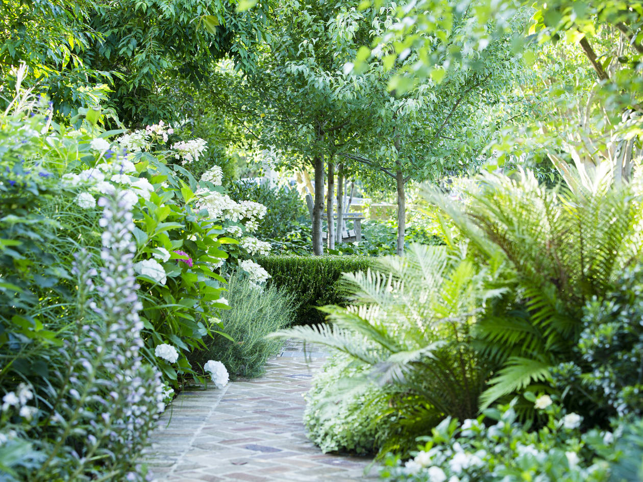 Our Gardens - Peter Fudge Gardens