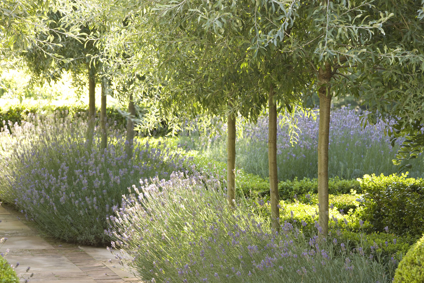 Our Gardens - Peter Fudge Gardens