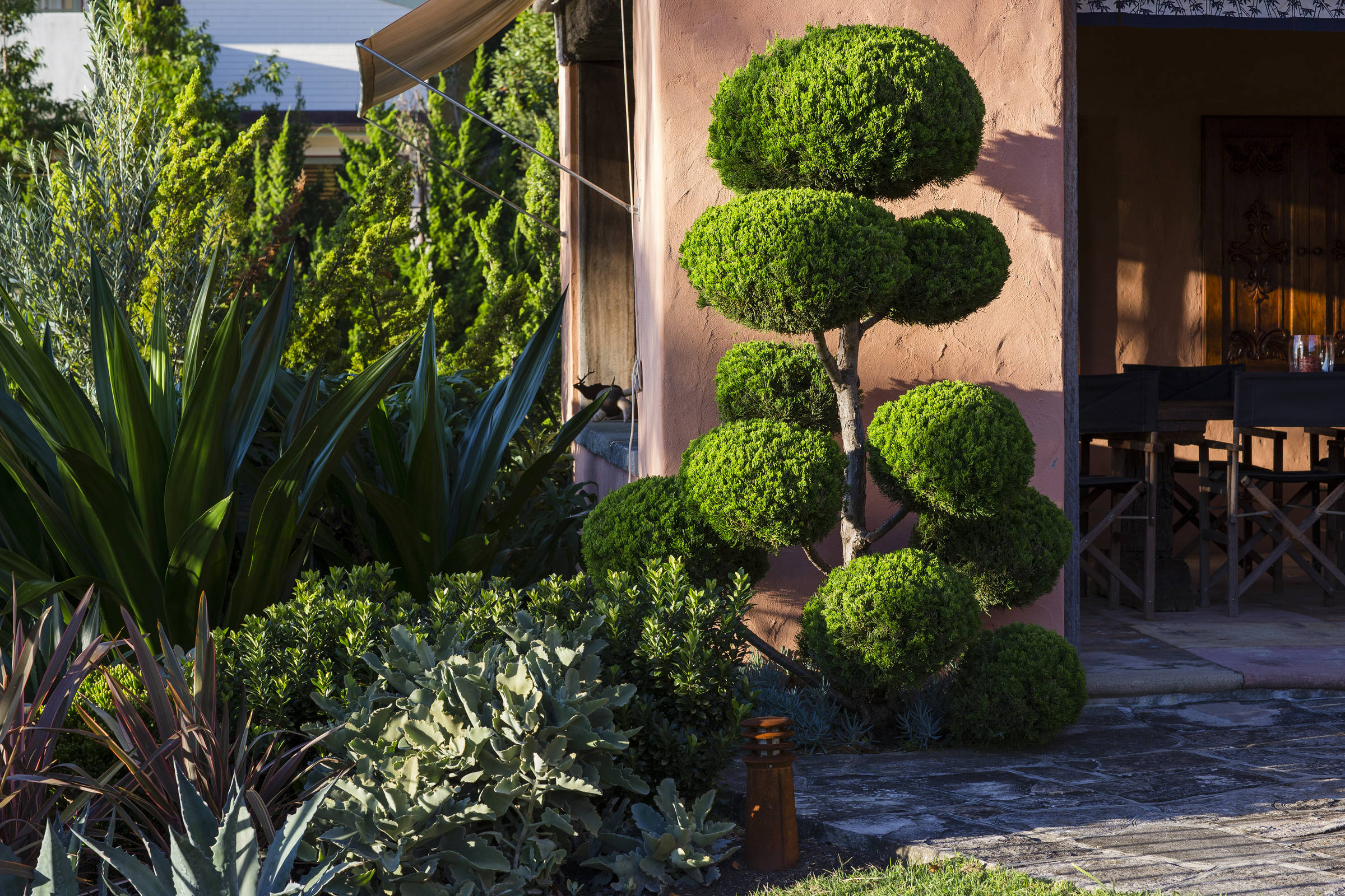 Our Gardens - Peter Fudge Gardens